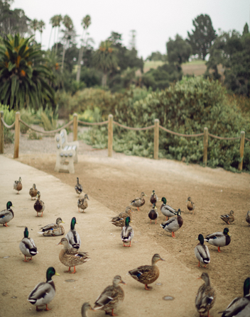 Meet Us – The Post Montecito